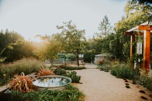 Jake Moss Designs - Landscape Design Co.